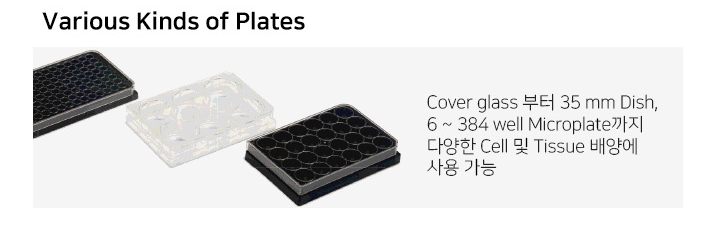 [Curibio] 생체환경을 구현한 나노패턴 플레이트 > BRIC