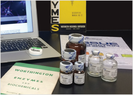 Collagenase | 자연과학