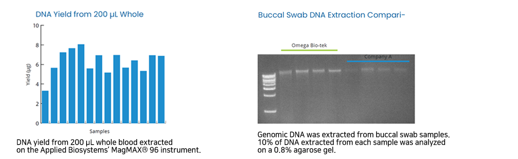 Nucleic Acid extraction kit | 자연과학