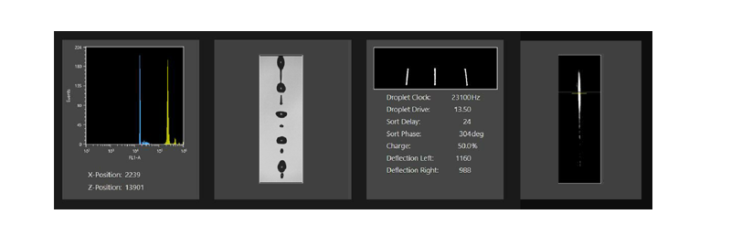 Cell Sorter | 자연과학