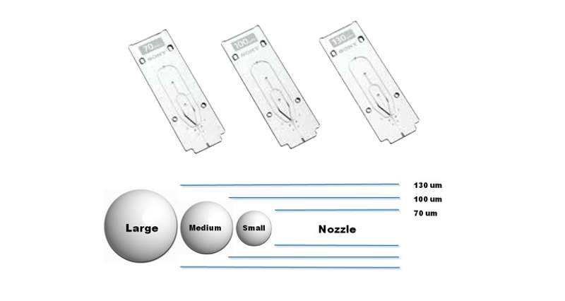 MA900 | 자연과학
