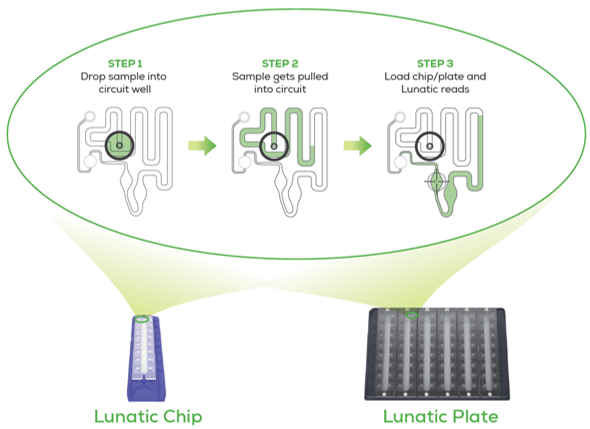 Lunatic | 자연과학