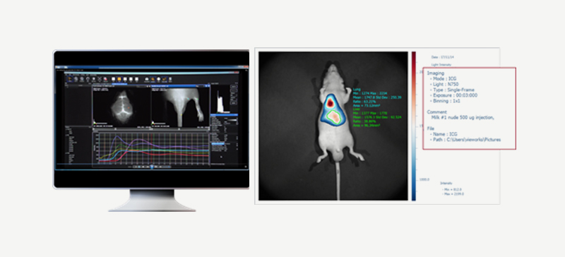 VISQUE InVivo Smart-LF | 자연과학