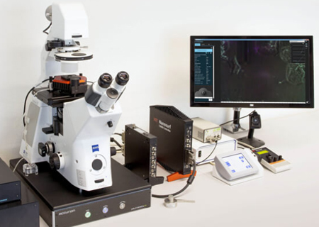 Flex-FPM | 자연과학