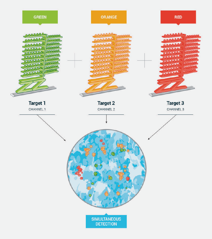 RNAscope®/ BaseScope™/ miRNAscope™ Assays | 자연과학