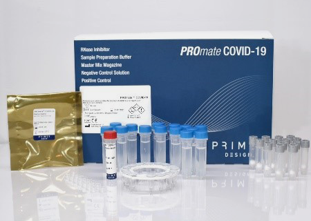 SARS-CoV-2 direct kit | 자연과학