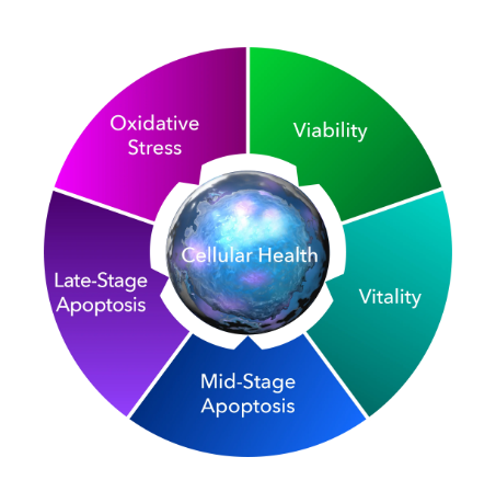 ViaStain™ Cell Fitness Panel | 자연과학