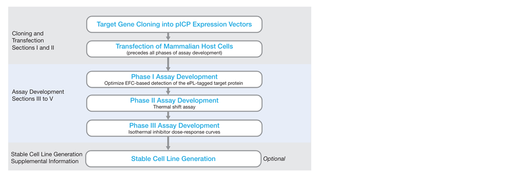InCELL Pulse™ Target Engagement Starter Kit | 자연과학