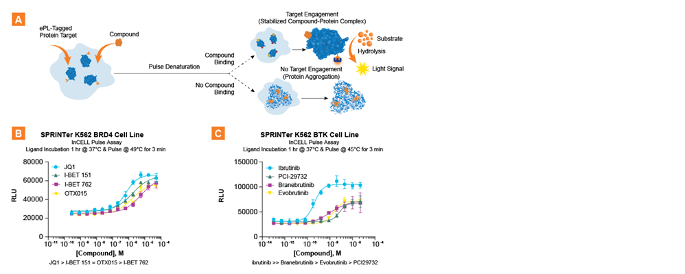 InCELL Pulse™ Target Engagement Starter Kit | 자연과학