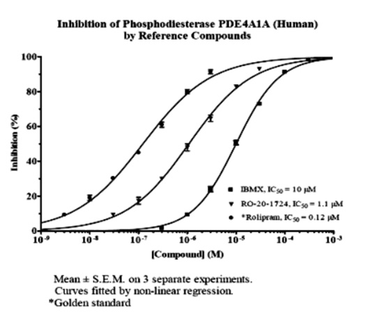 PDE 서비스 | 자연과학